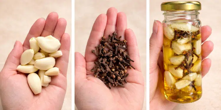 Mix Garlic + Cloves 1 Week: Body Transformed – Pain Gone, Immunity ...