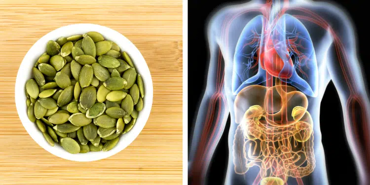 10 Health Benefits of Pumpkin Seeds (And How Much to Eat)